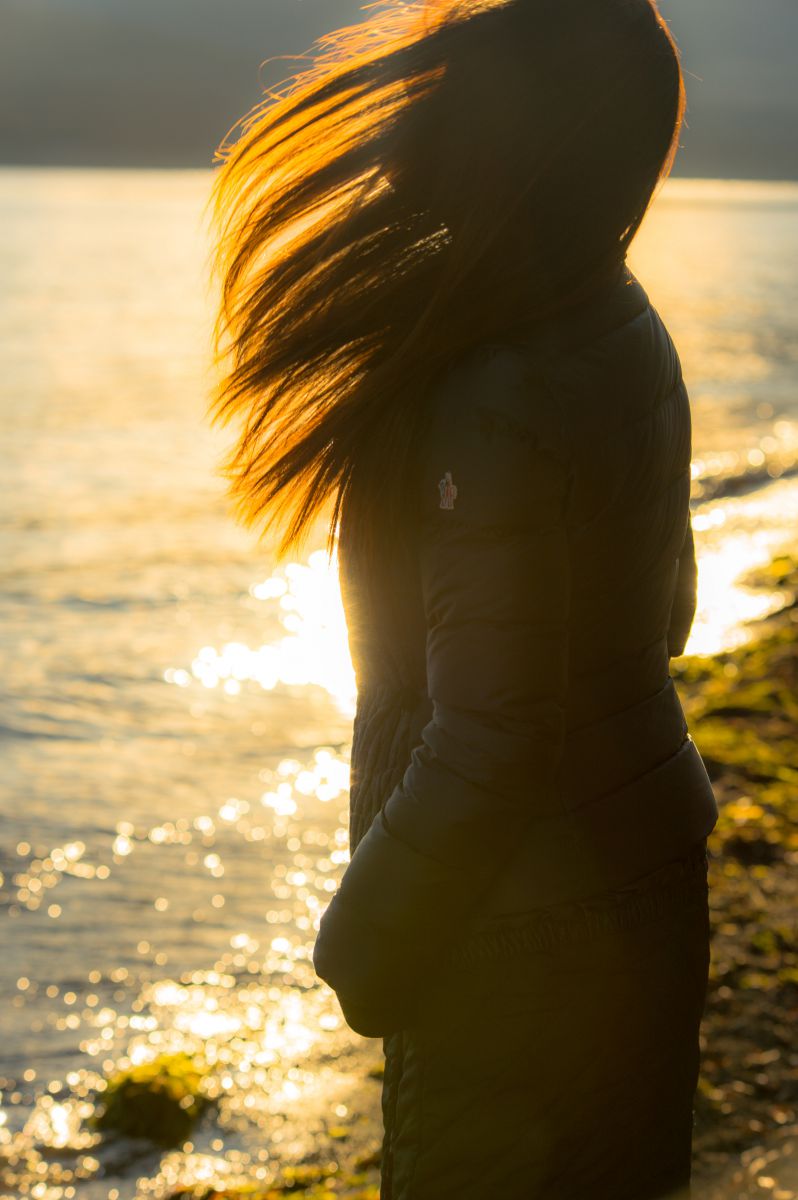 夕日の中に | GANREF