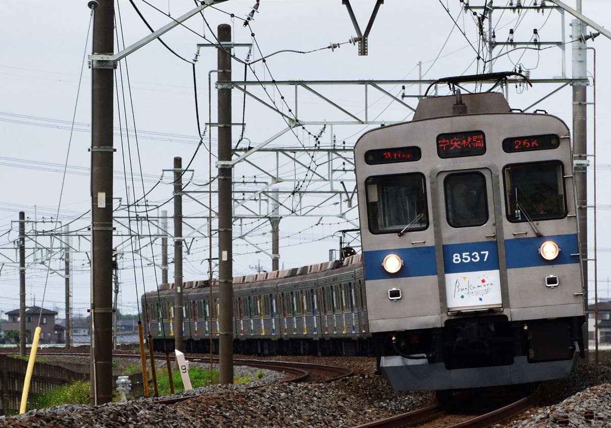 東急8500系8537F ドアカラーがカラフルで珍しい | GANREF