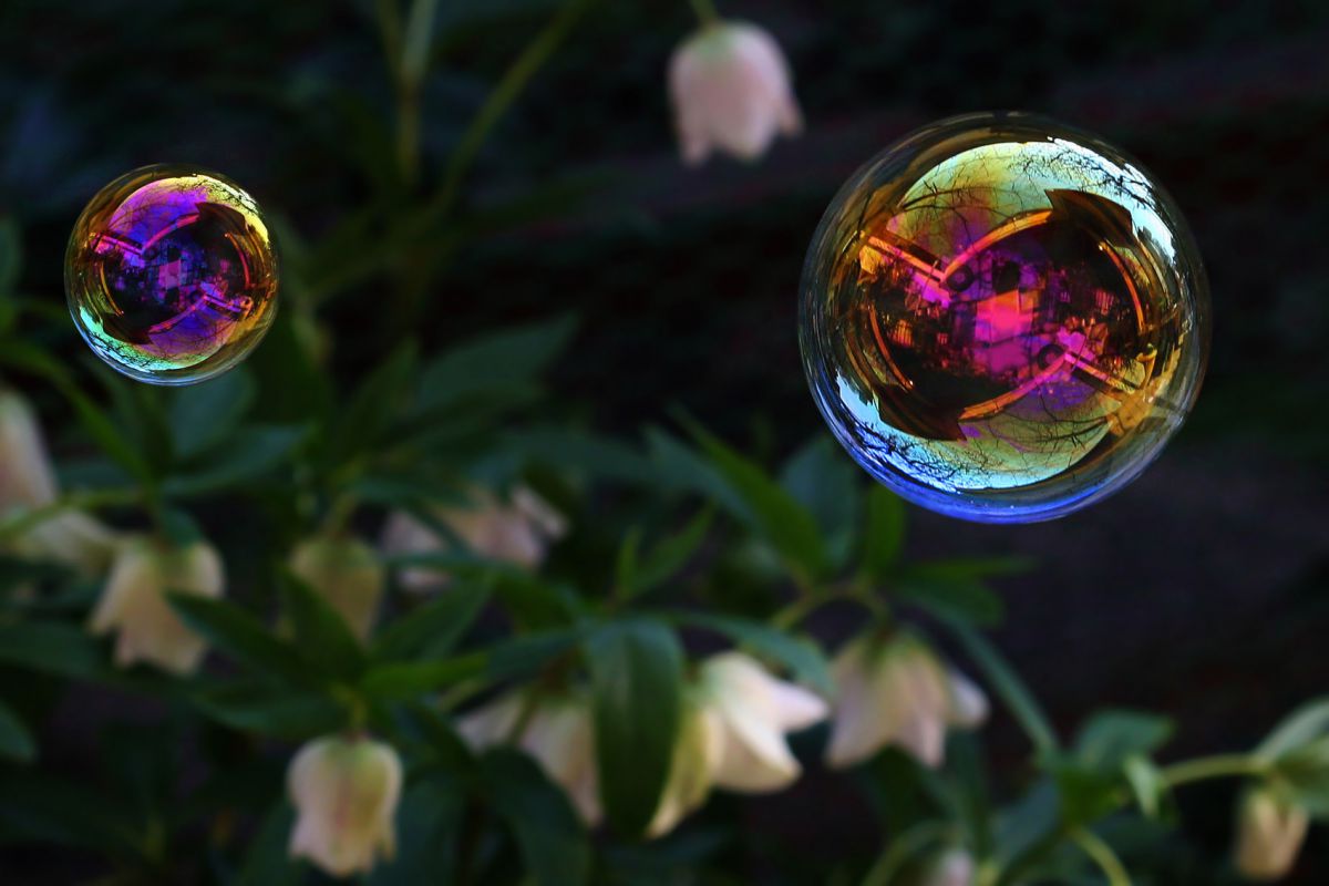 ふわ～り・・・ | GANREF