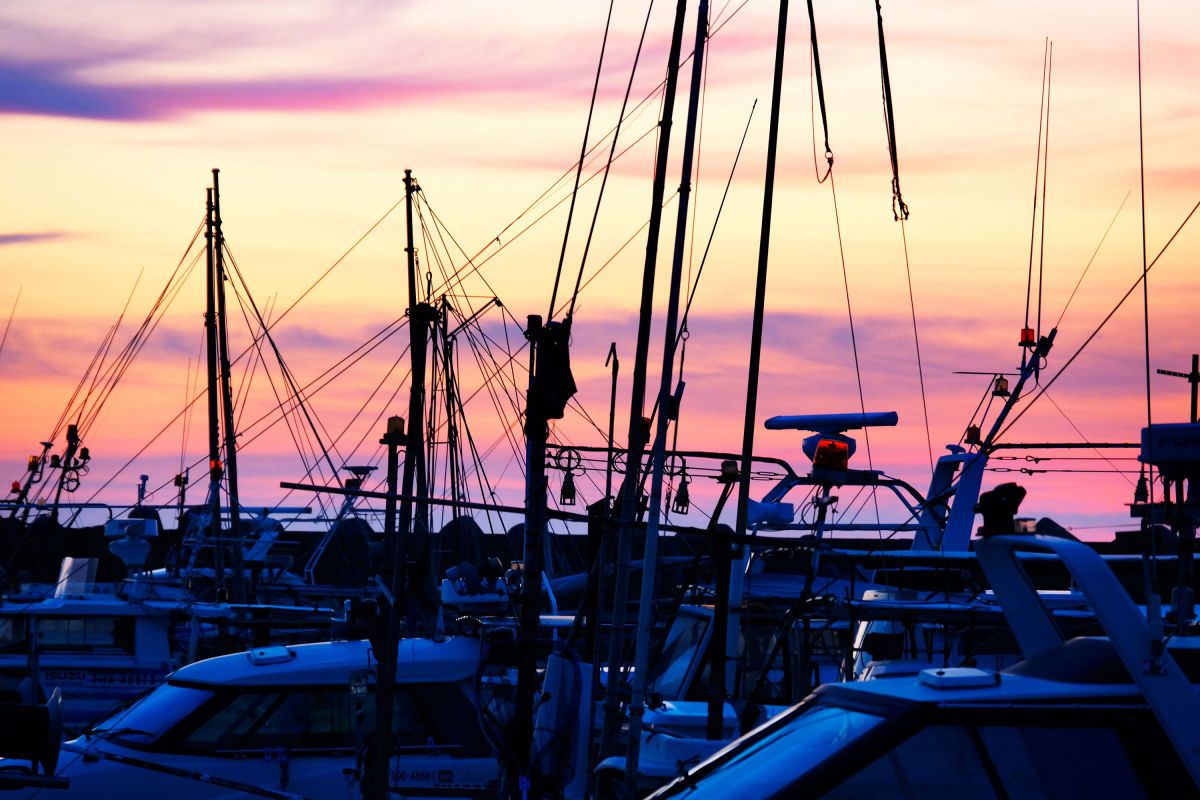 Harbor evening view | GANREF
