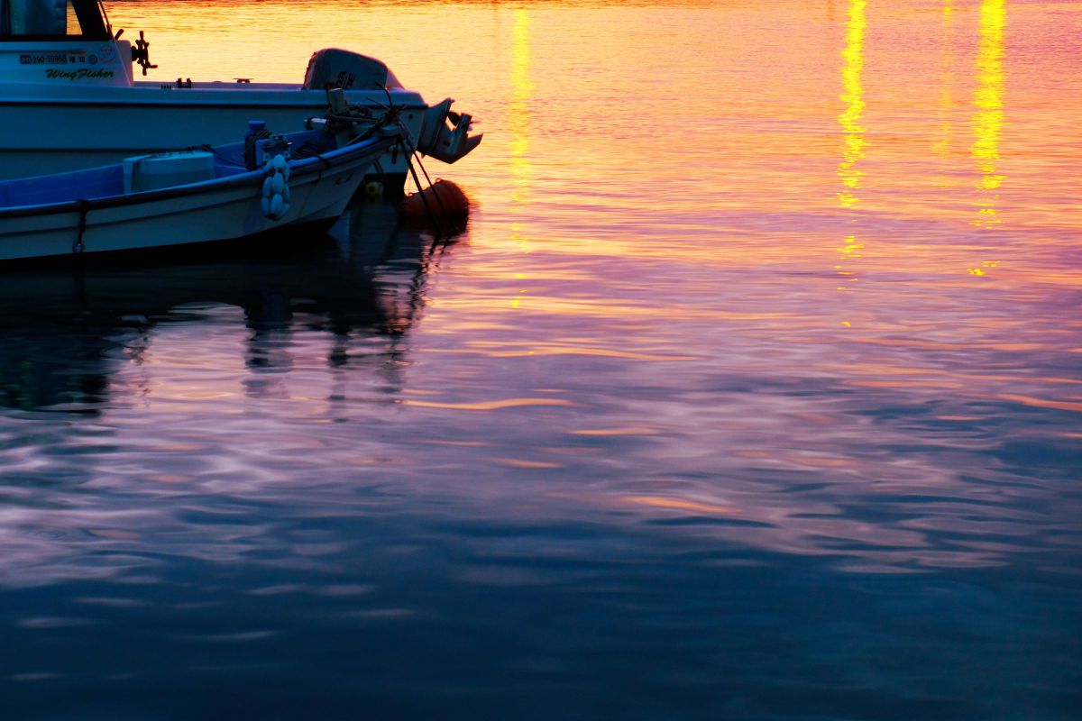 Harbor evening view2 | GANREF
