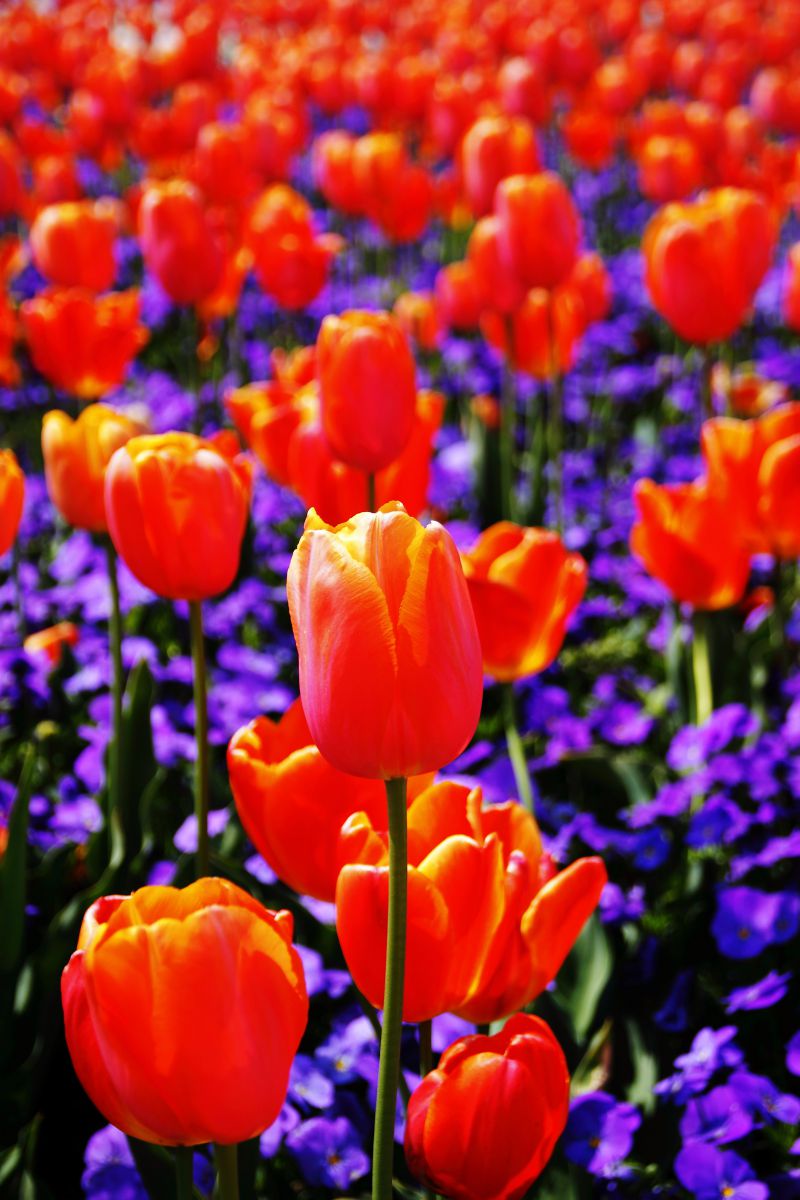 IMG_3963.JPG | GANREF