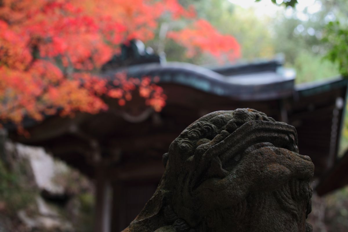 空に向かって | GANREF