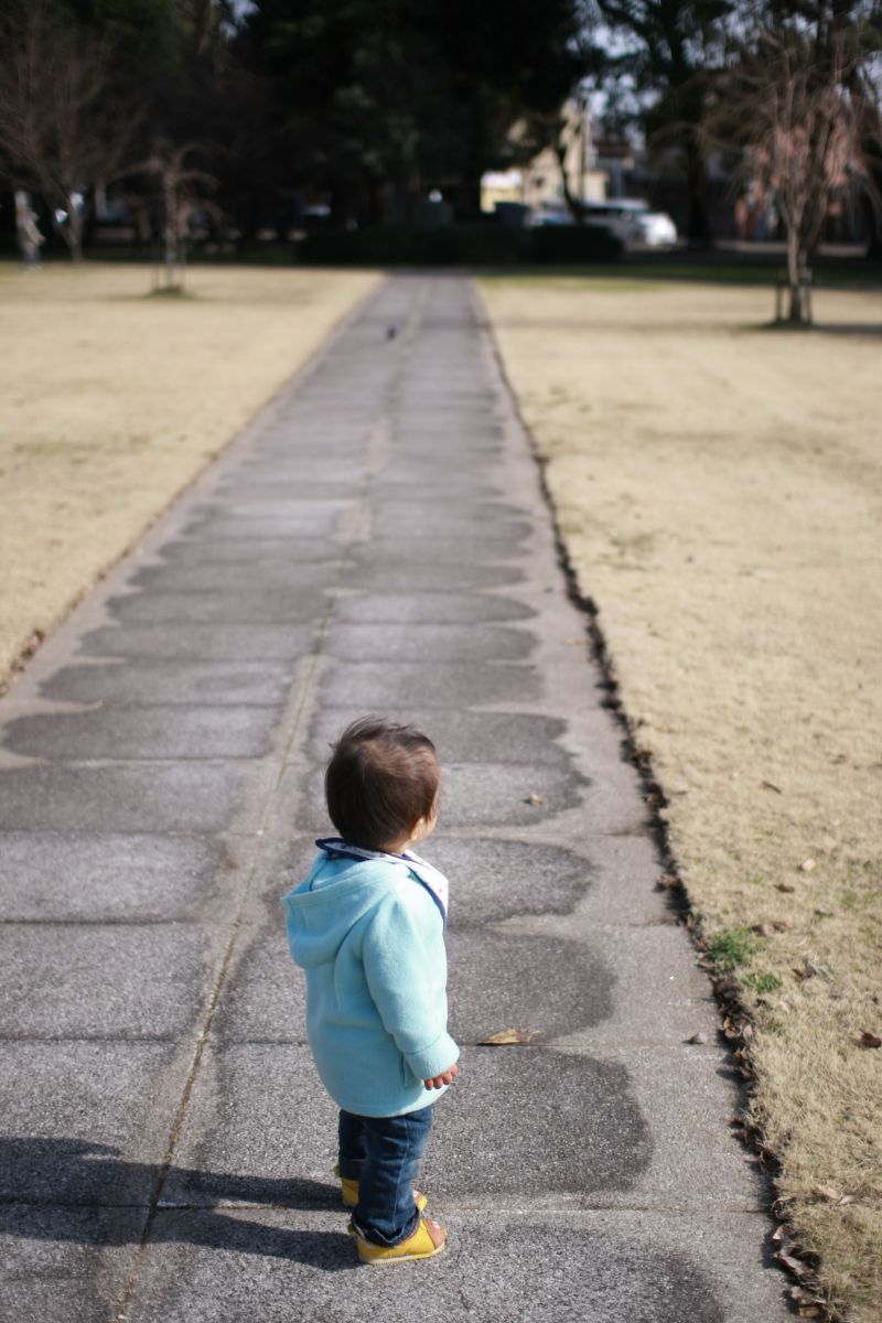 The way you go | GANREF