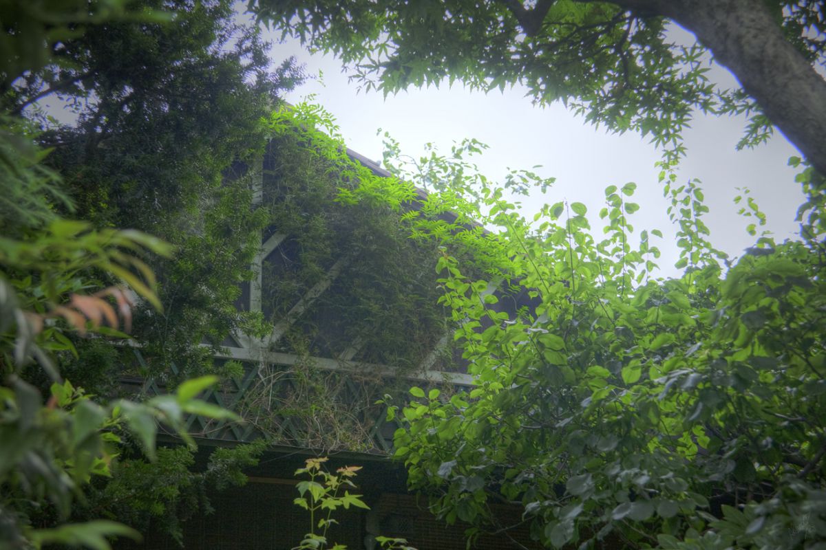 秘密基地A | GANREF