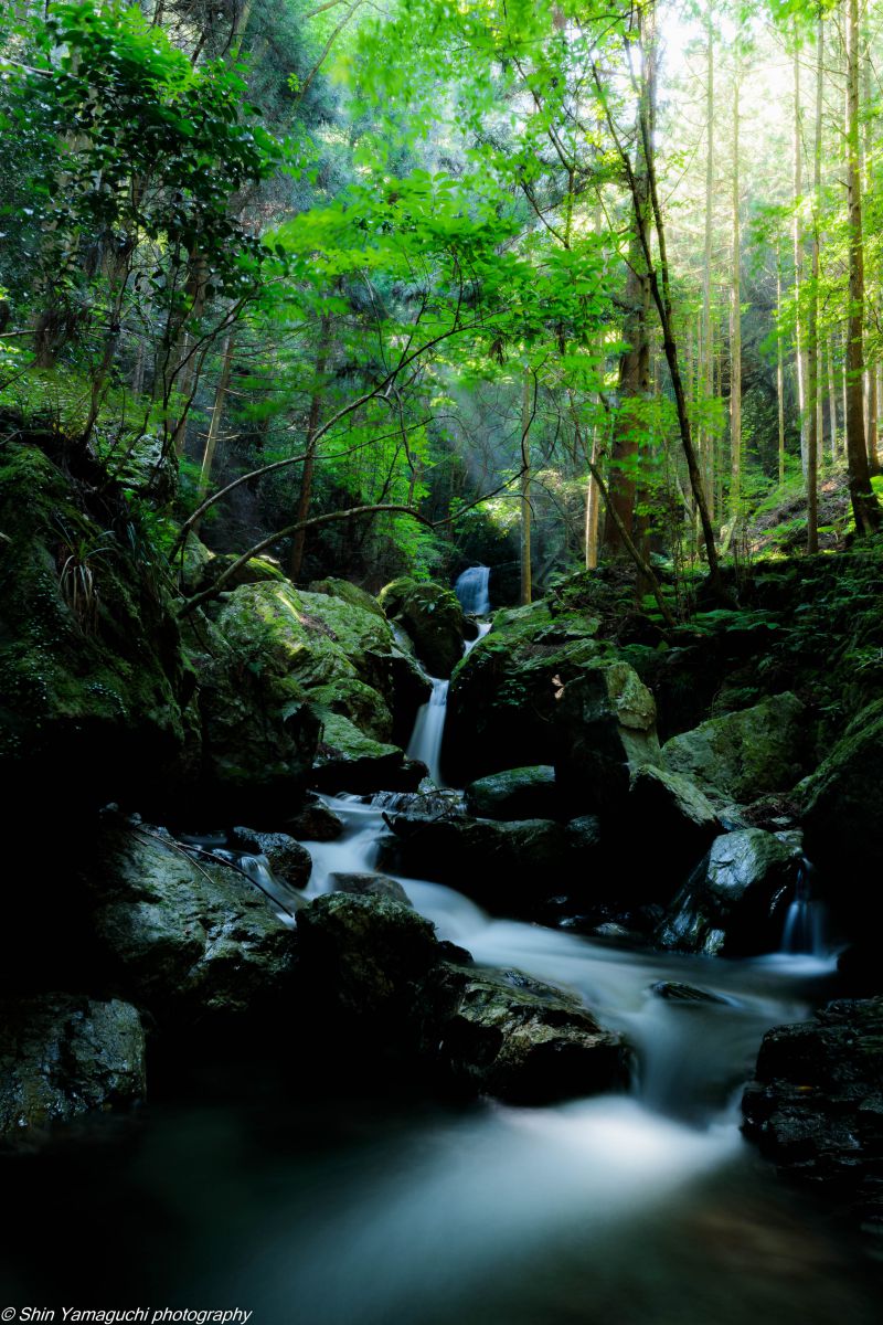 渓流の目覚め | GANREF