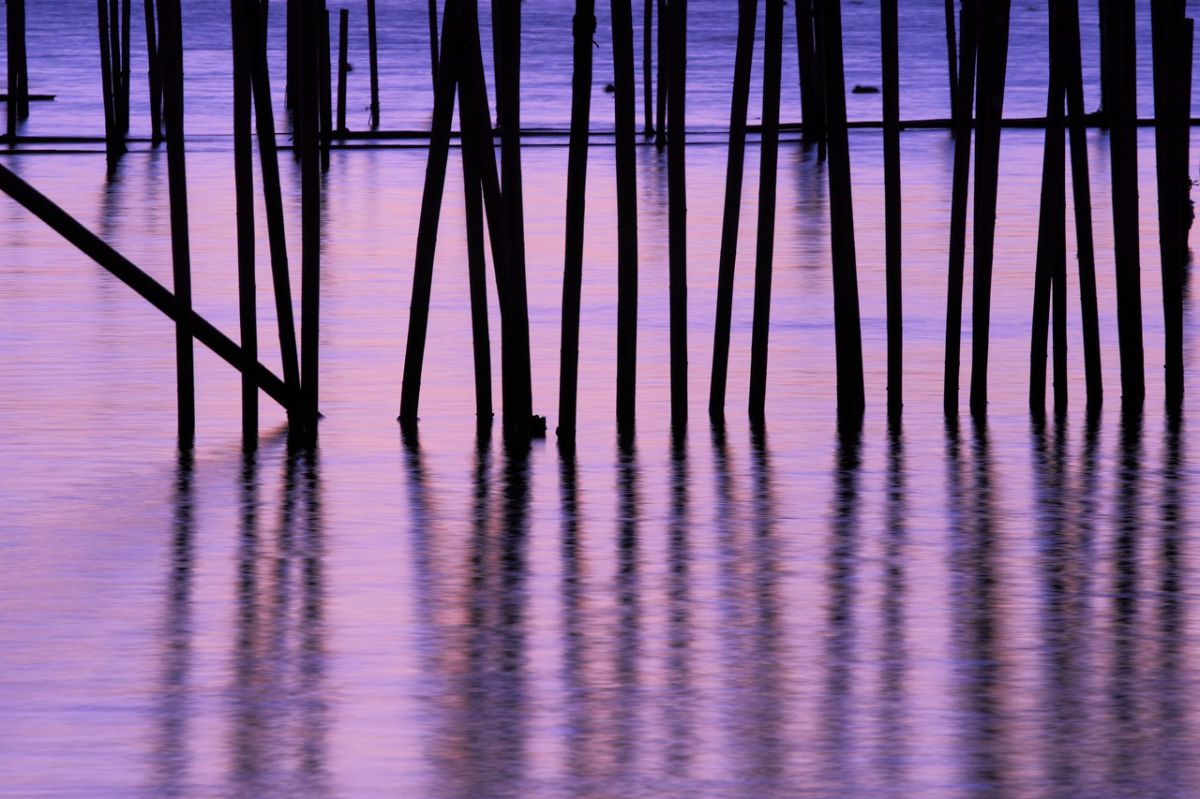 DPP_441.jpg | GANREF