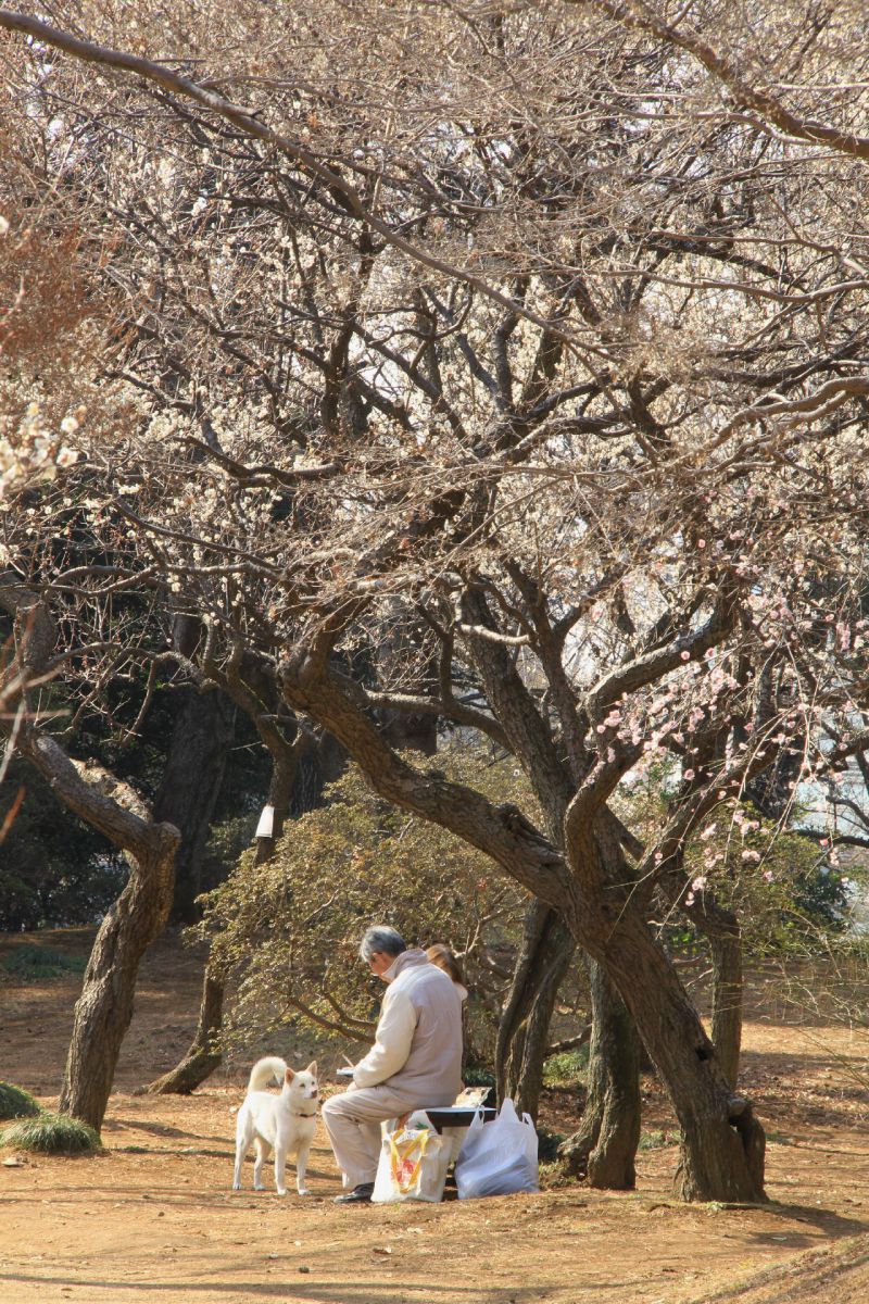 小春日和.jpg | GANREF