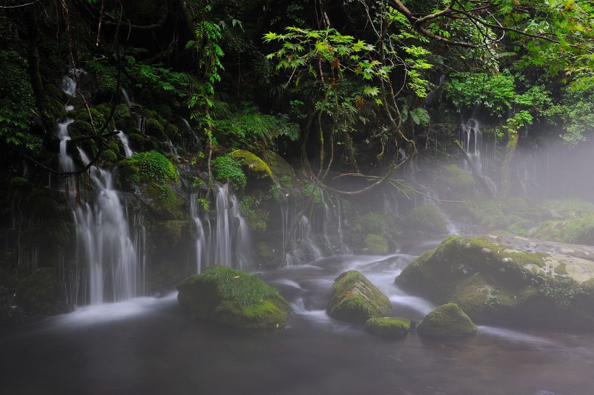 涼しくなった | GANREF