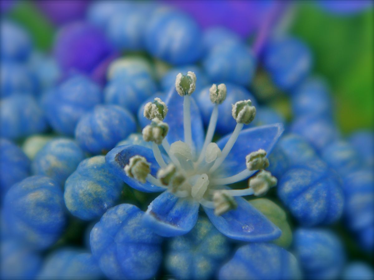 私を撮って！！ | GANREF