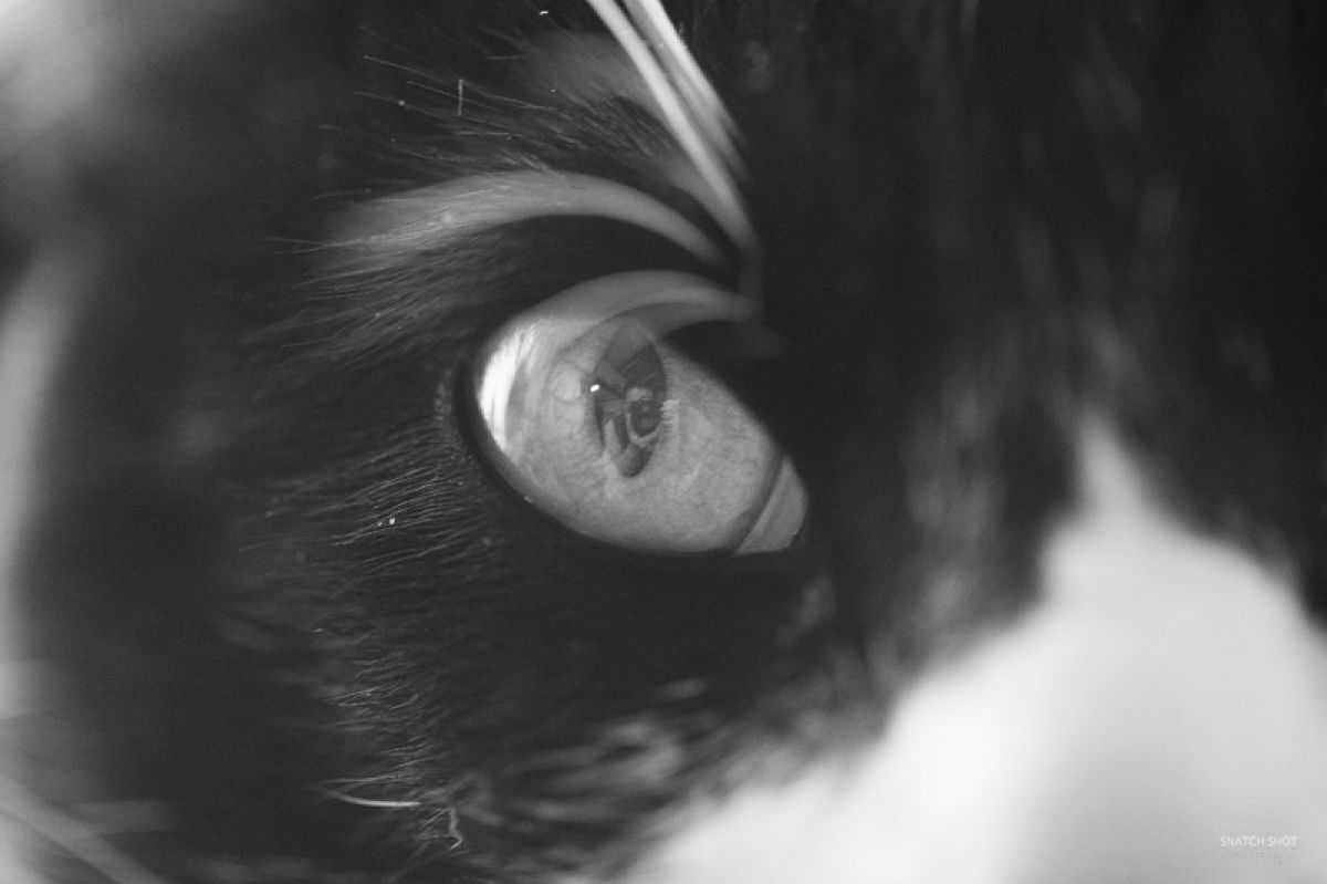 self-portrait | GANREF