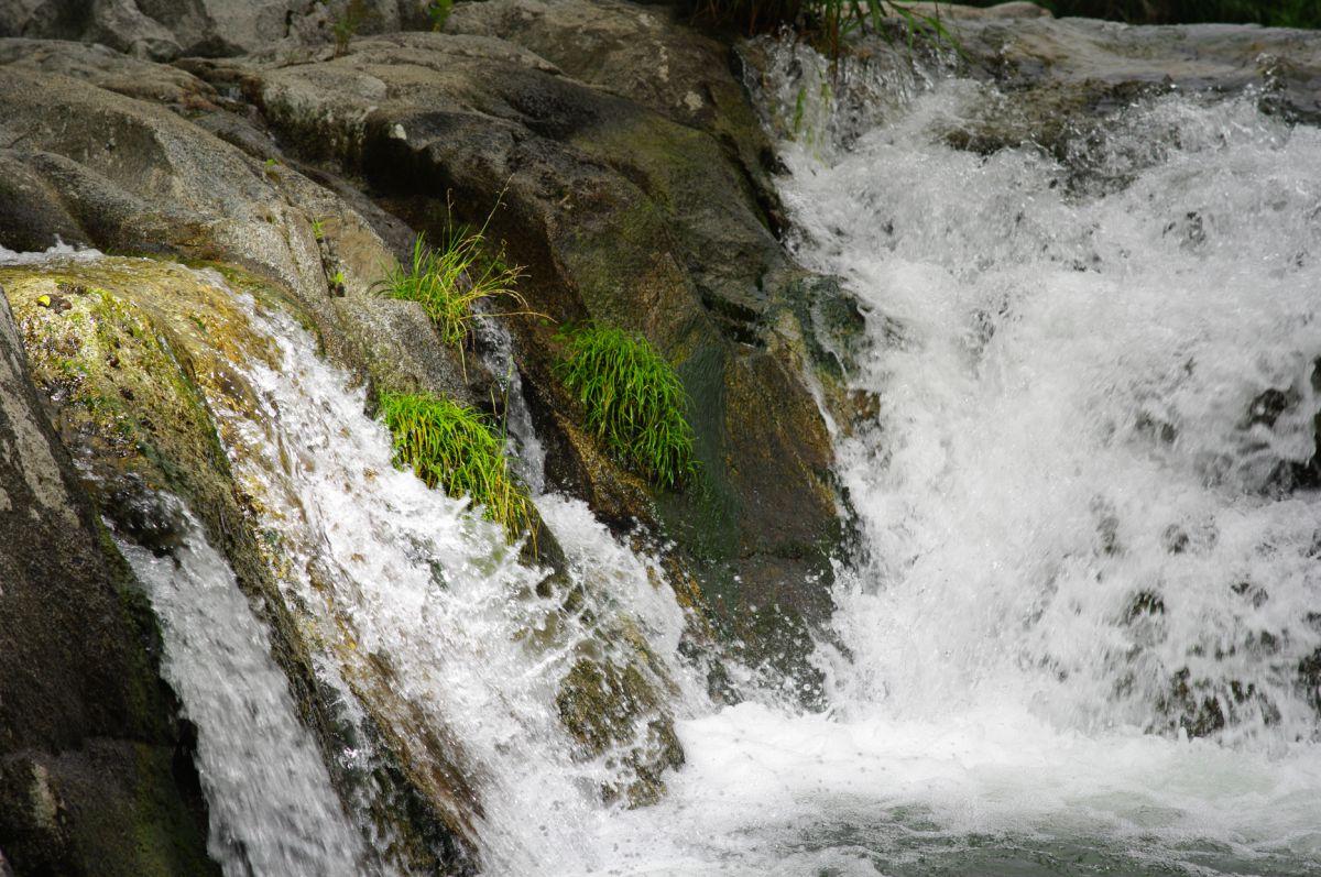 ドドドドドッ！ | GANREF