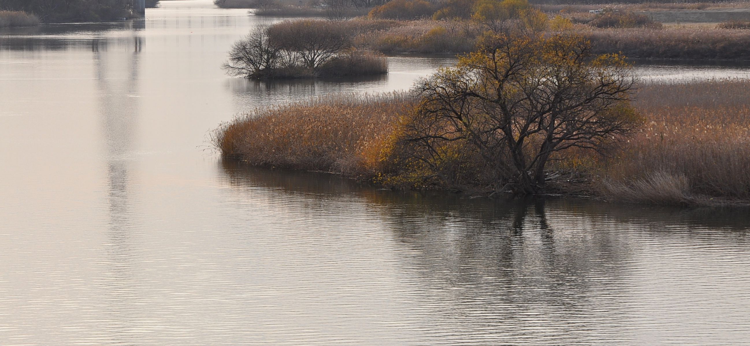 DSC_0960-2.JPG | GANREF