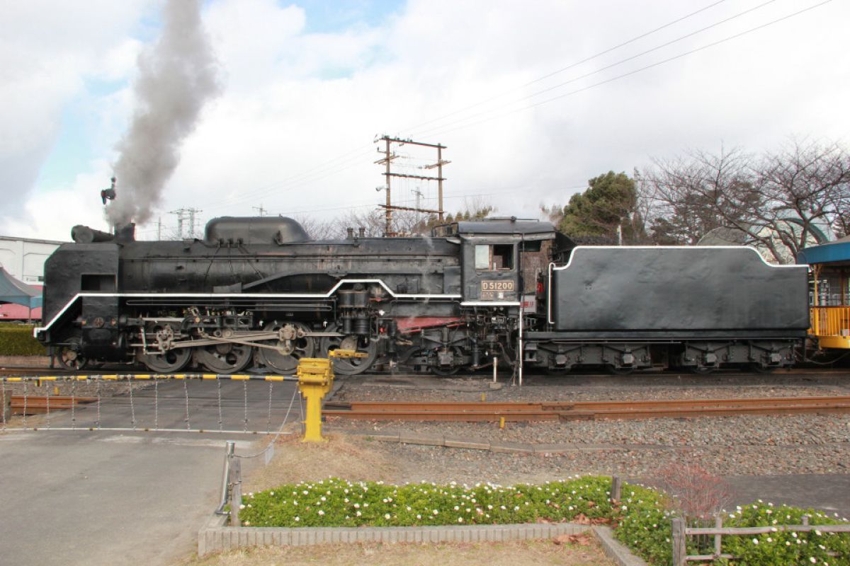 IMG_0157.JPG | GANREF