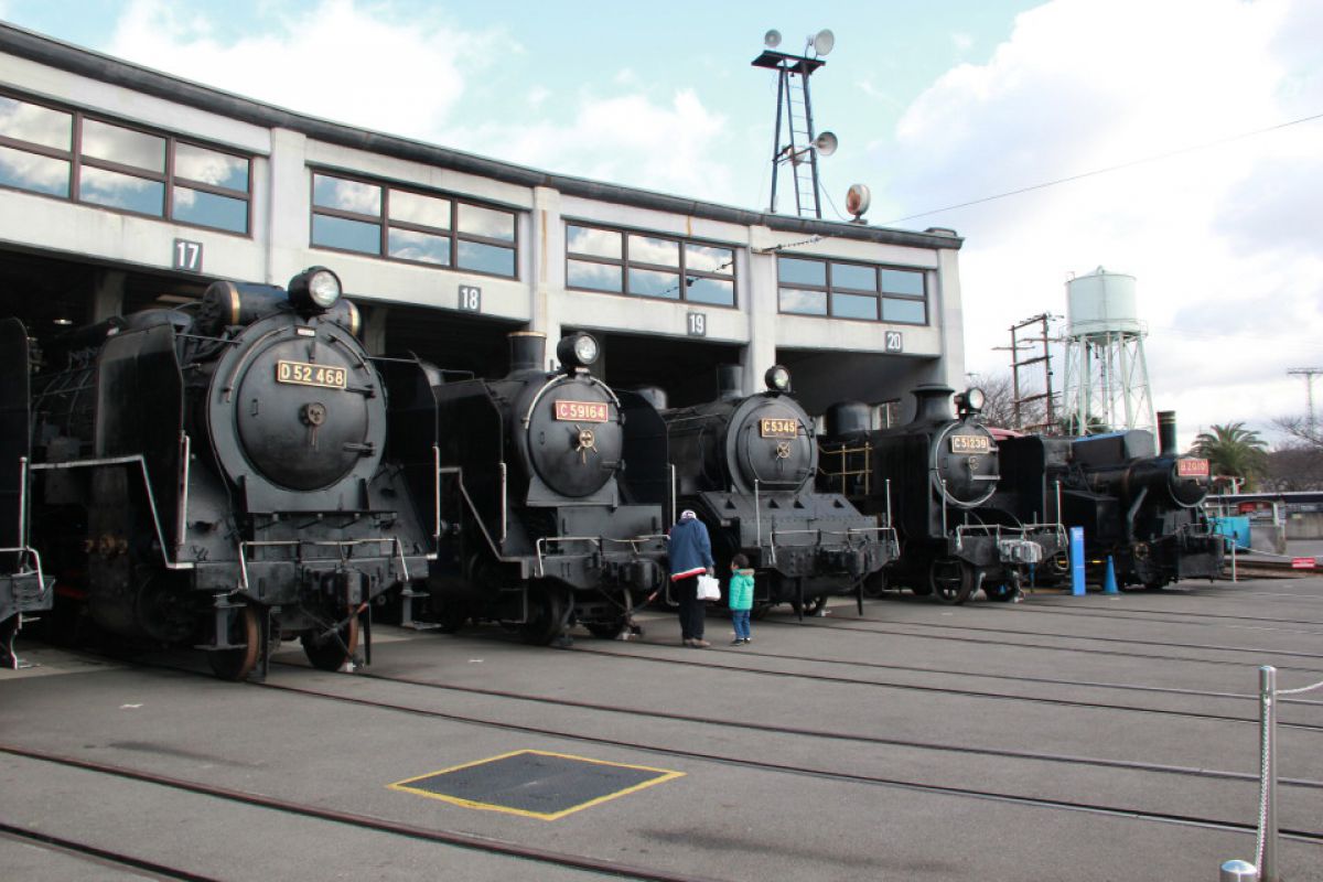 IMG_0113.JPG | GANREF