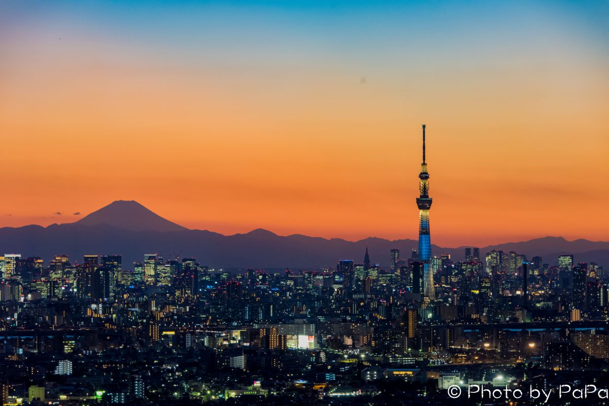 It's Magic! | GANREF