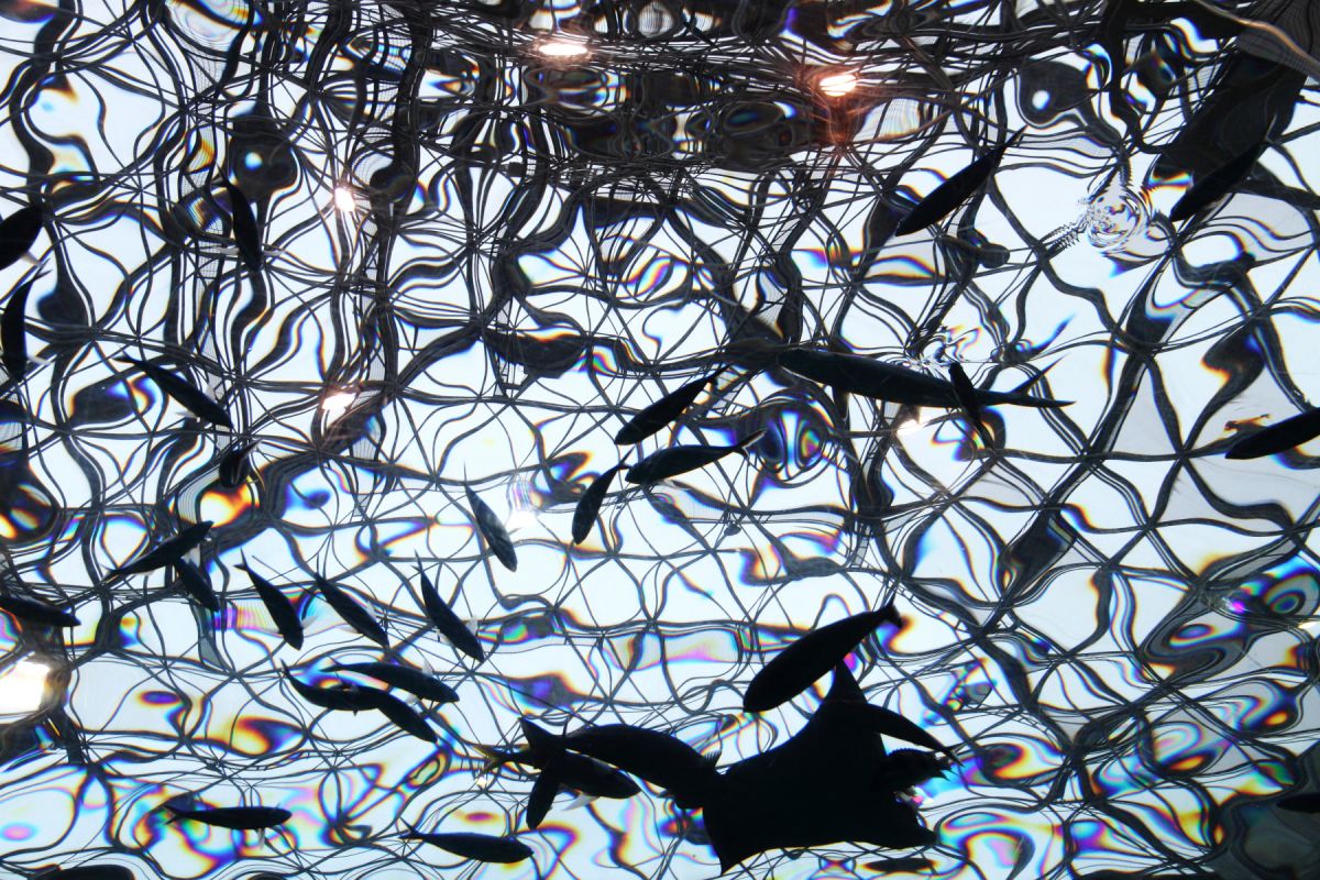 Psychedelic Aquarium | GANREF