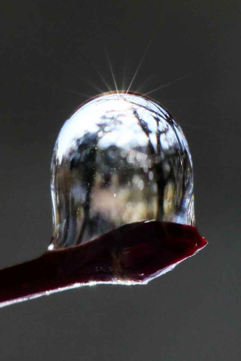 Like a Bubble | GANREF