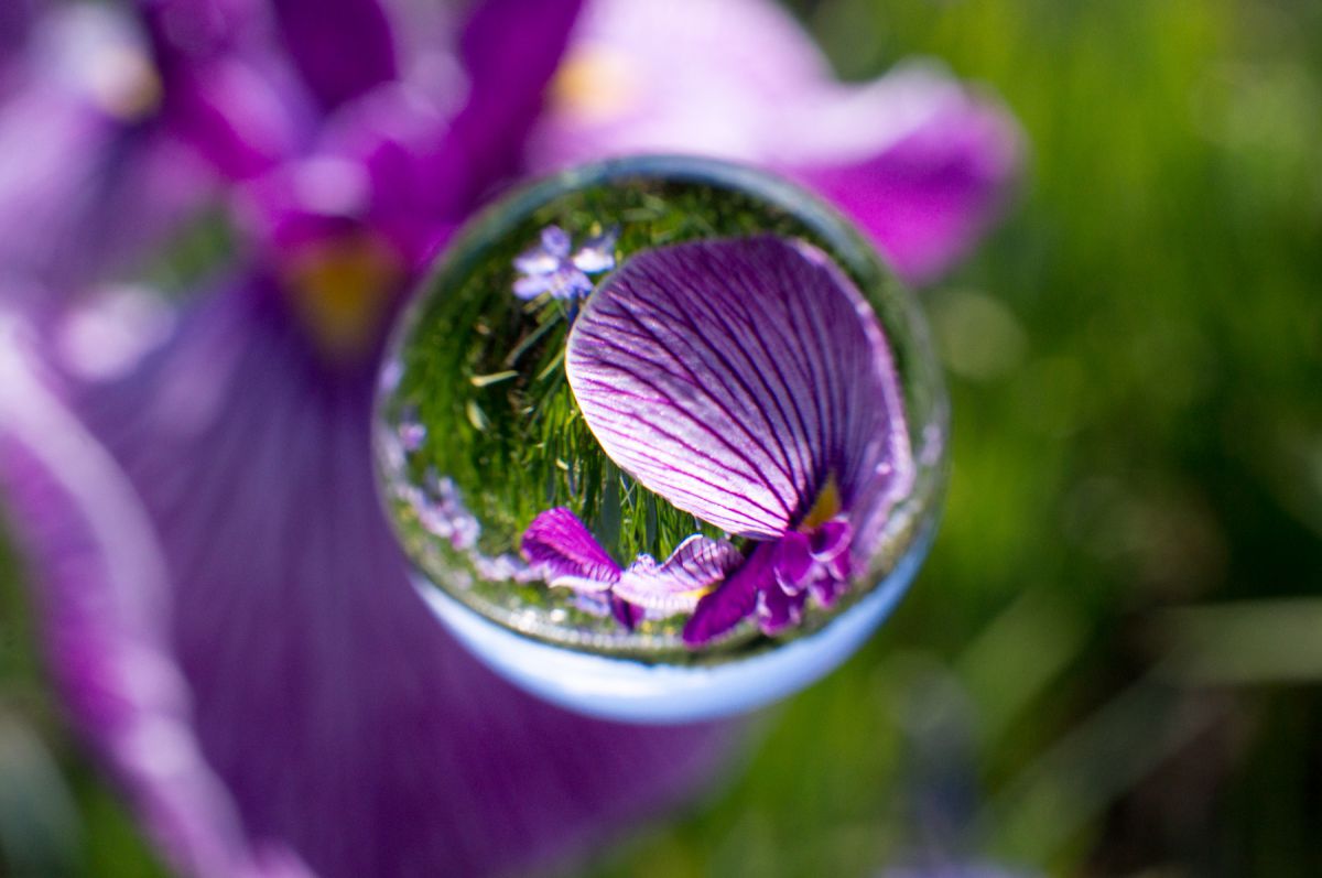 後ろが主役 | GANREF