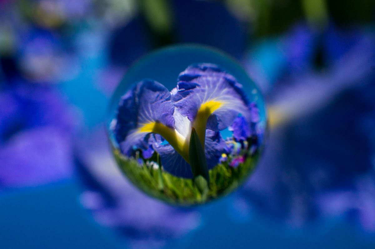 blue planet | GANREF