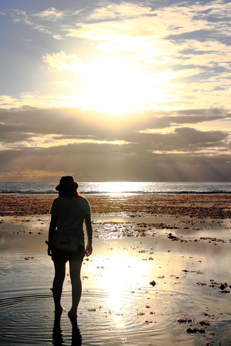 嫁、どこに行く・・・ | GANREF