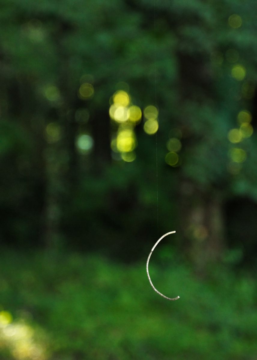 プラン C | GANREF