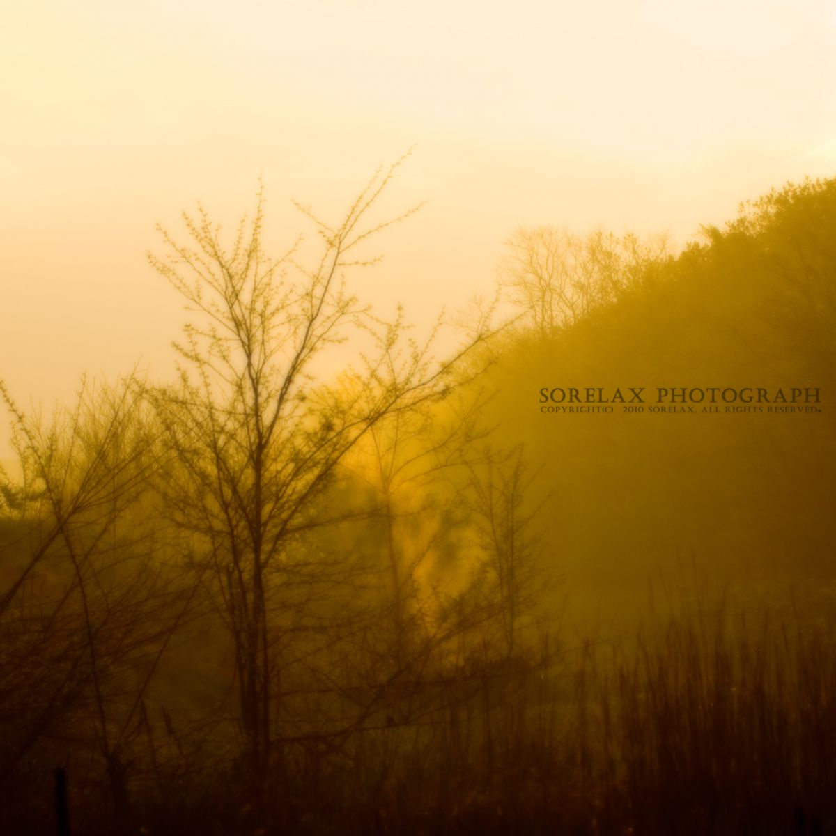 time goes by | GANREF