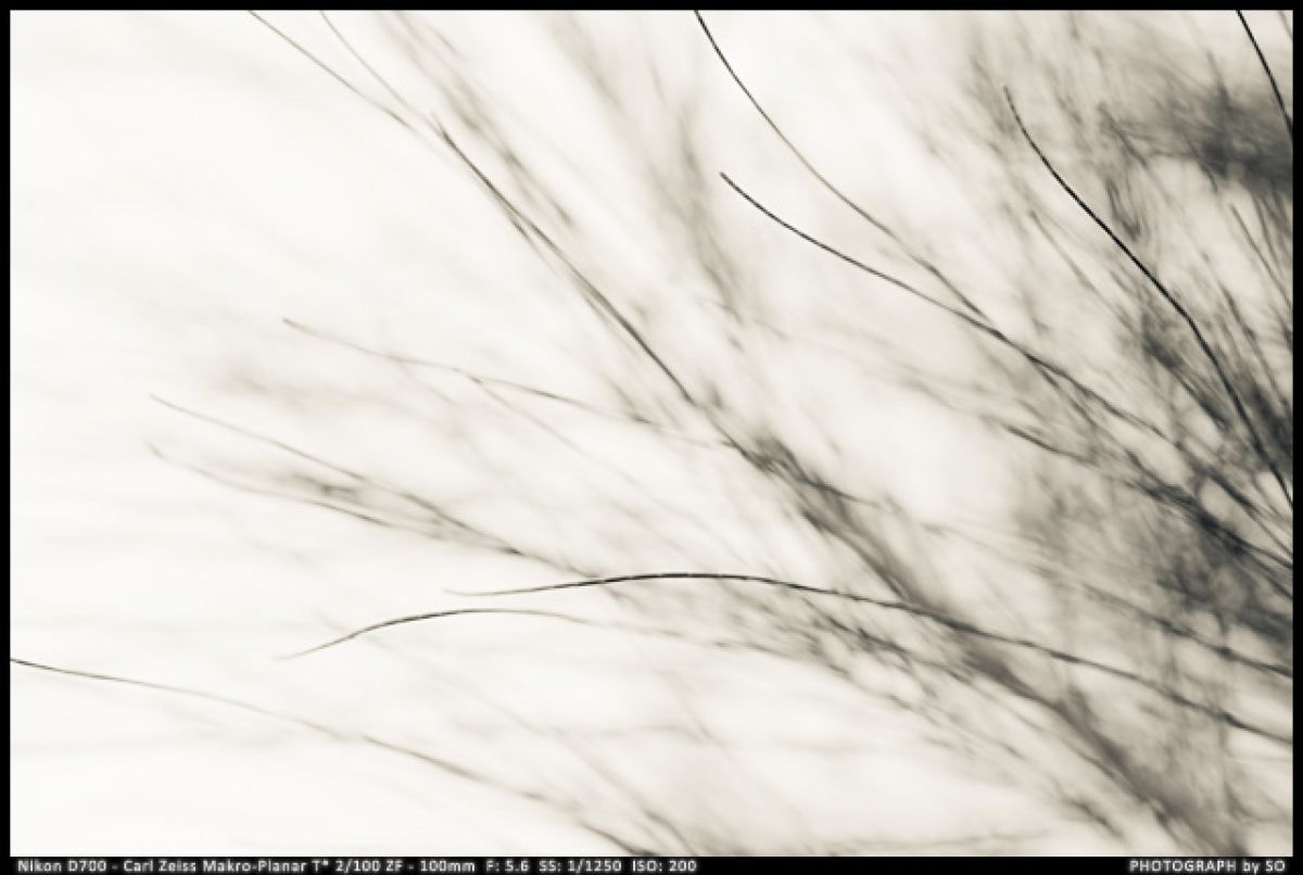 imperfect line | GANREF