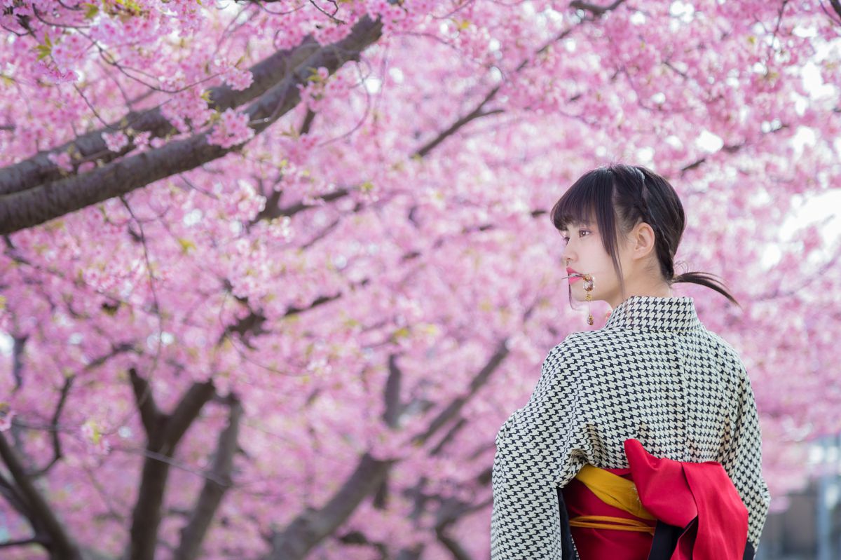 Cool & Beautiful | GANREF