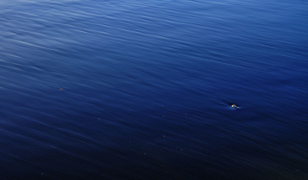 Ripple Marks | GANREF