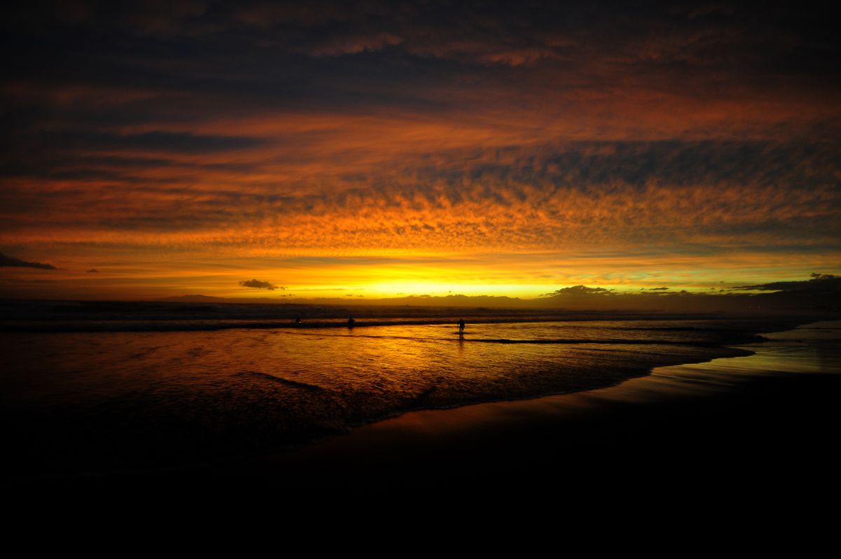 Over And Over | GANREF