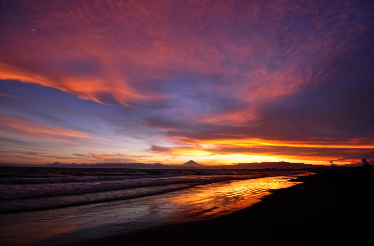 Syonan Life - Beyond The Sunset - | GANREF