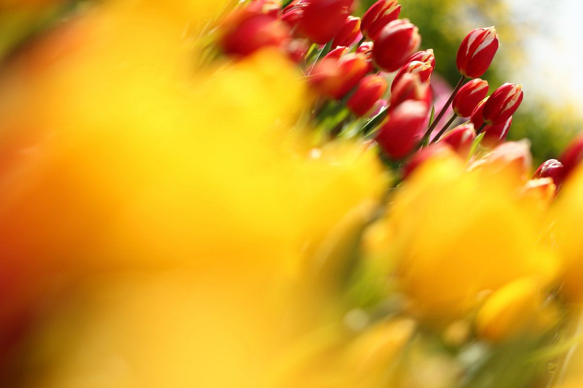 君を見つけた時から | GANREF