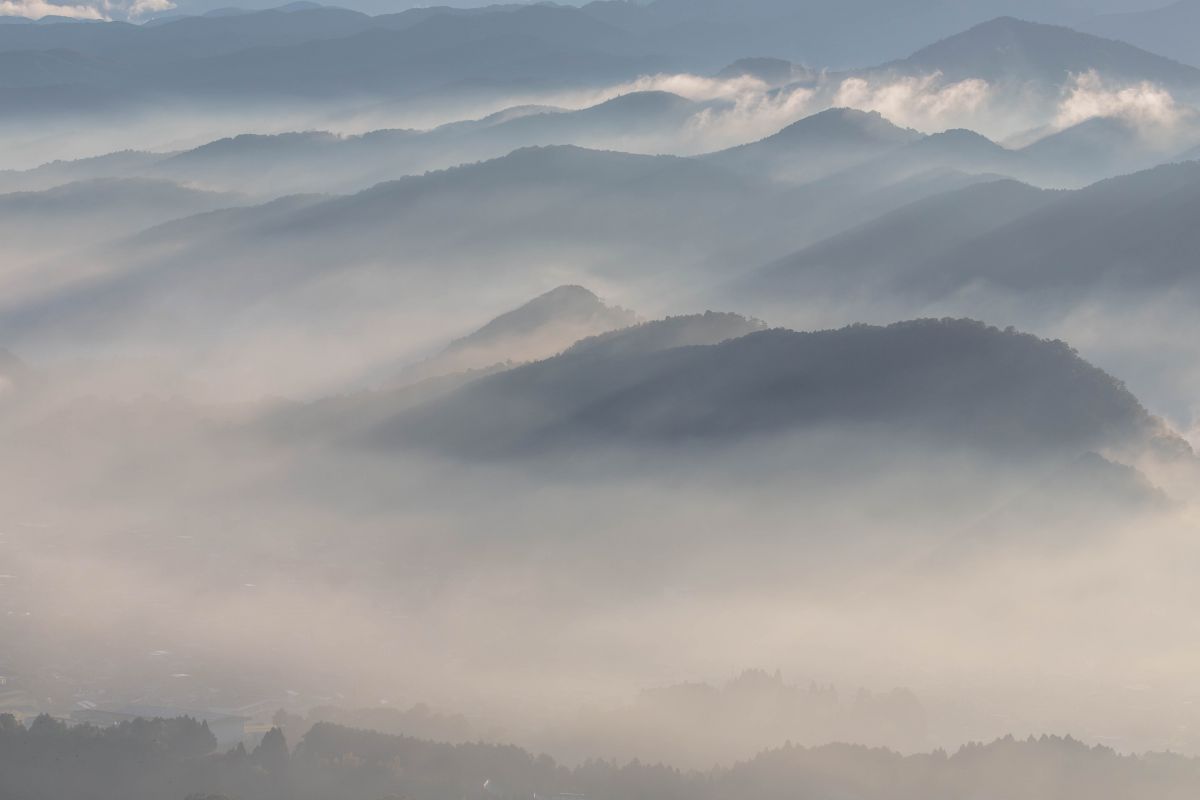 斜光に浮かぶ | GANREF