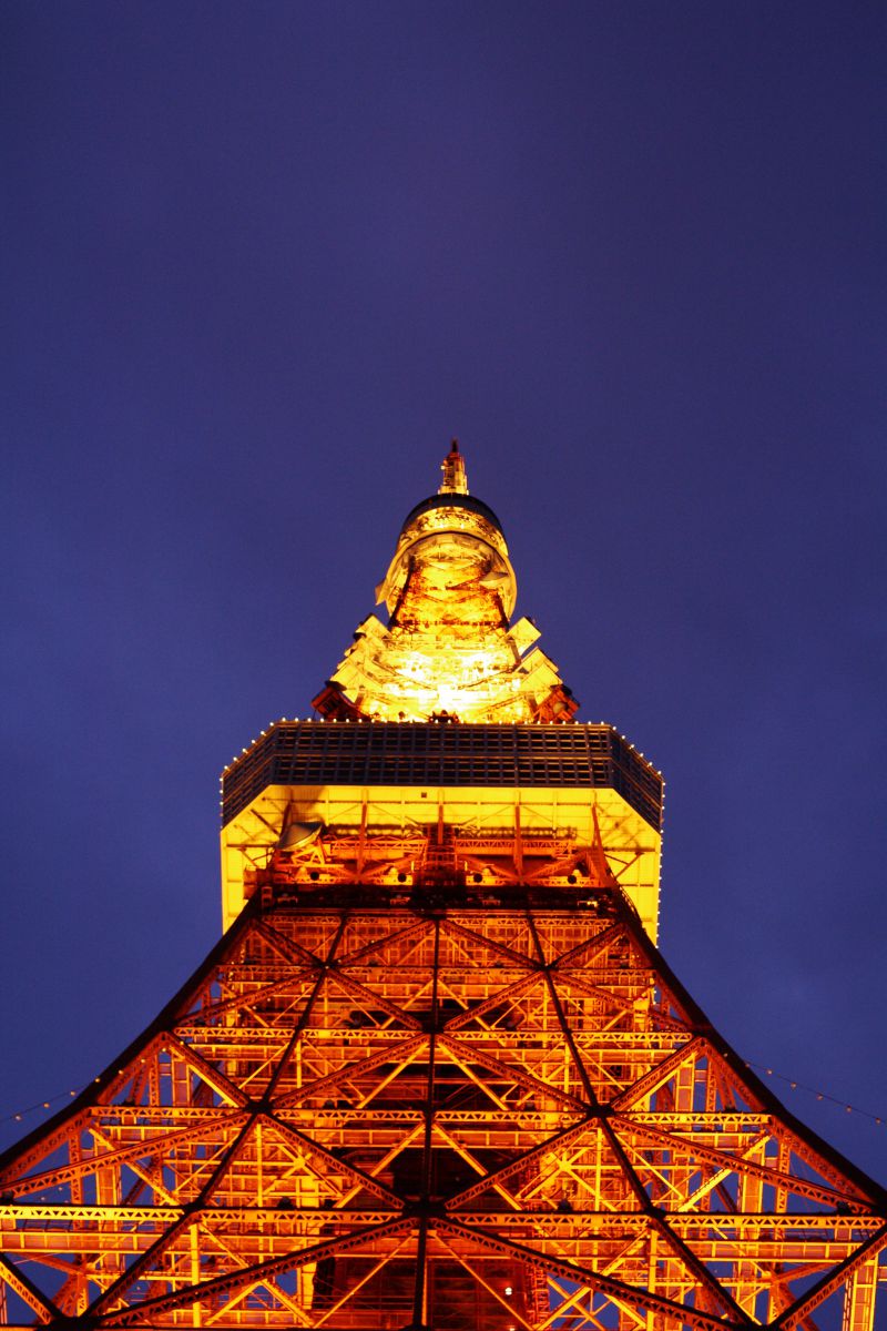 I am Tokyo !! | GANREF