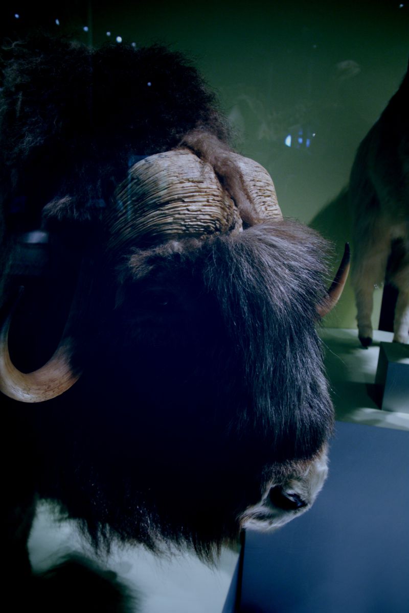 sleep peacefully | GANREF