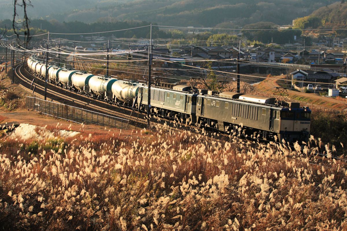 輝く夕景 | GANREF