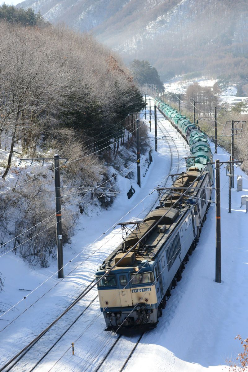 DSC_1908.JPG | GANREF