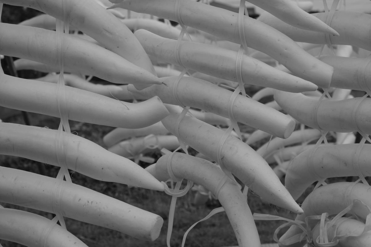 Memories 11 | GANREF