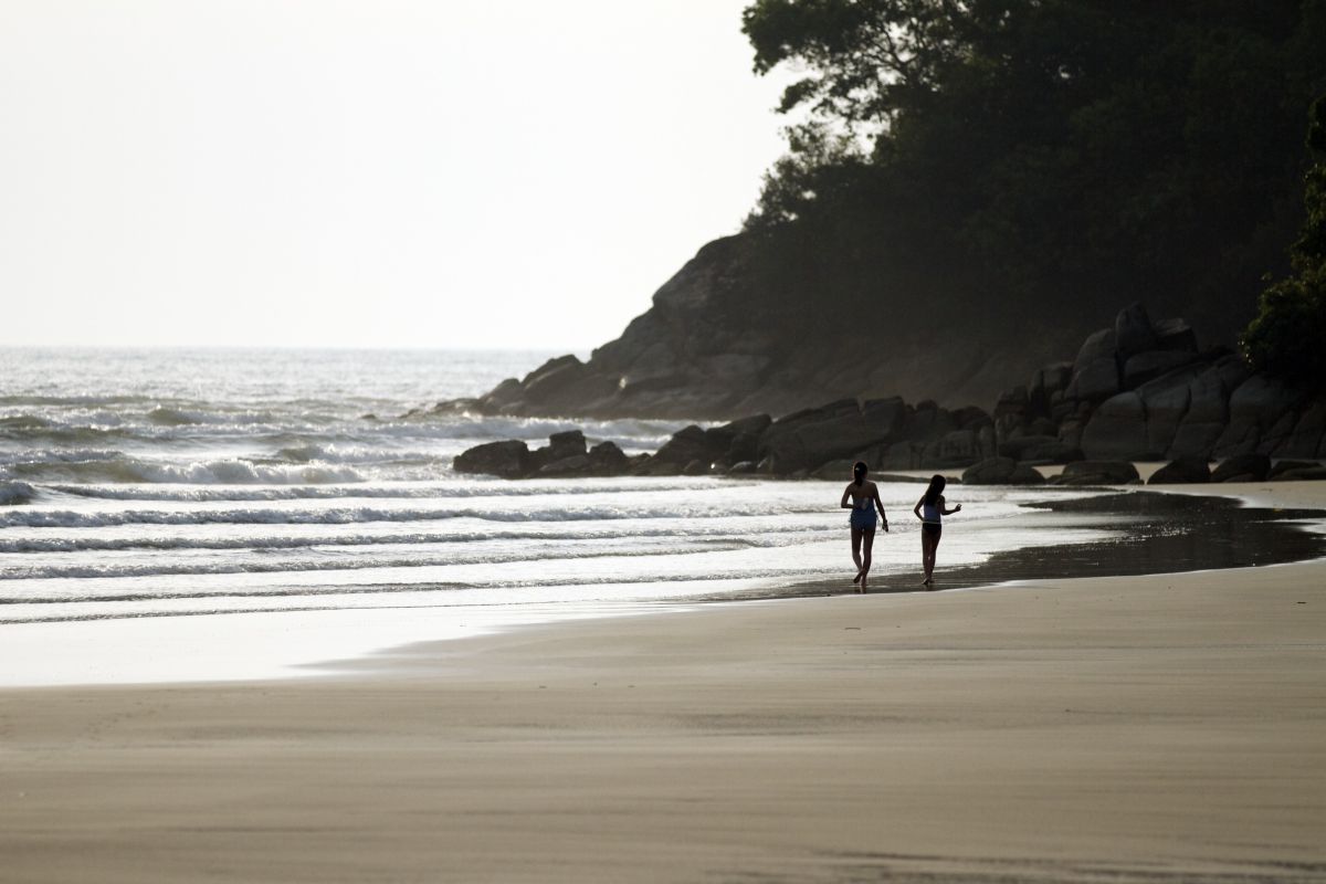 Good bye, Summer | GANREF