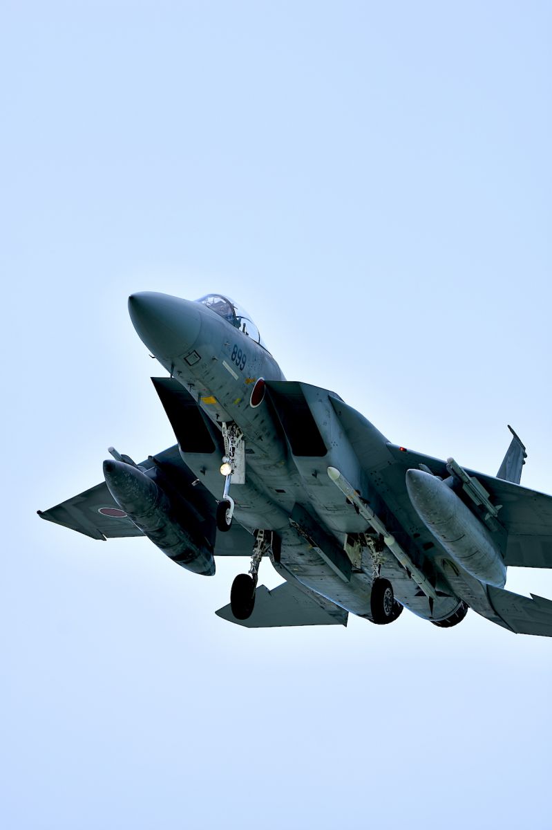 機械式鳥類 F15 | GANREF