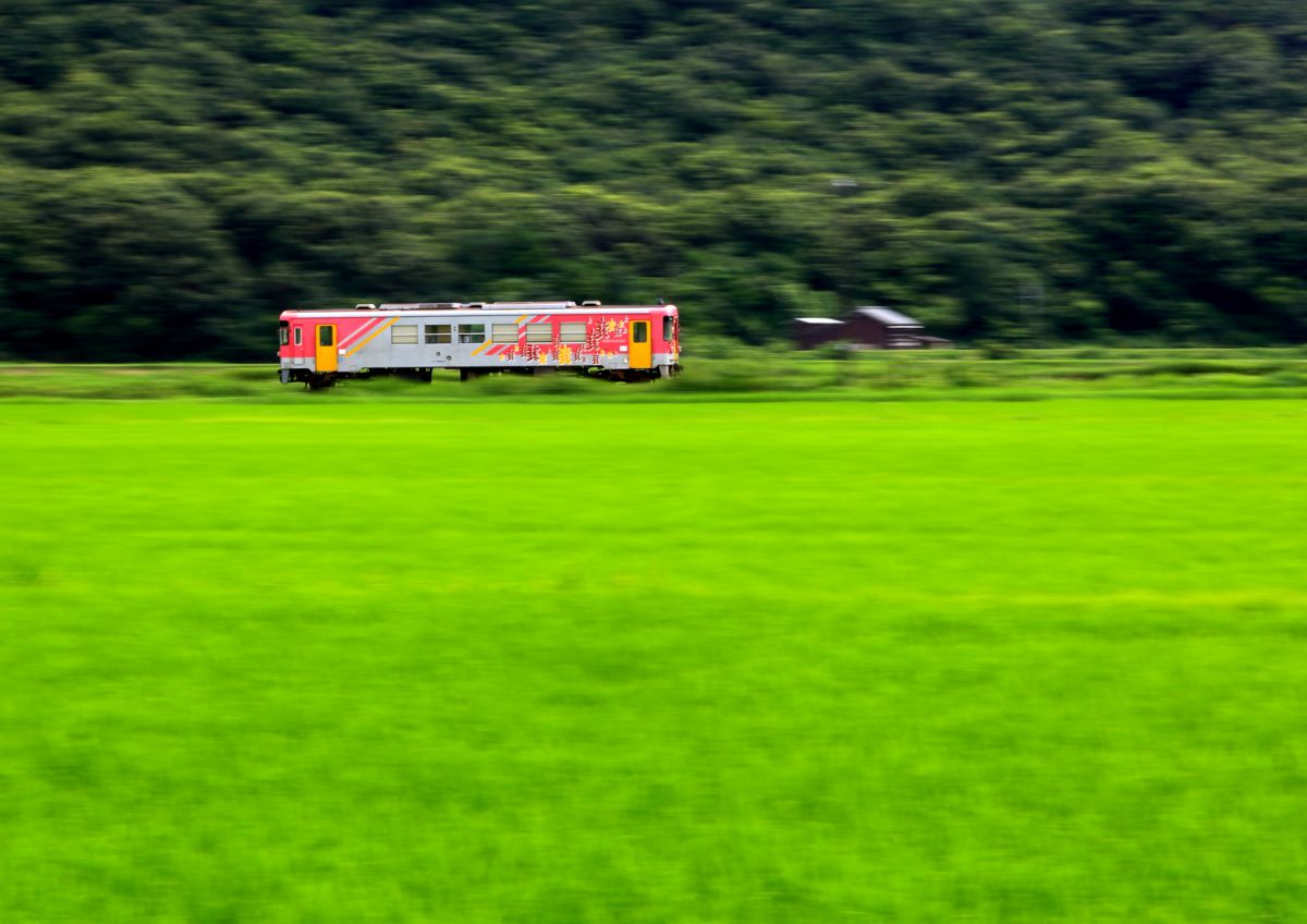 green field | GANREF