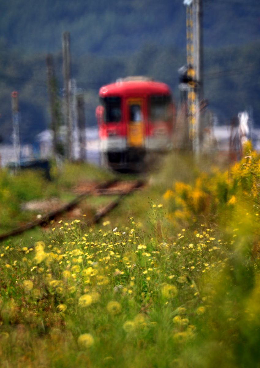 花咲く沿線 （秋） | GANREF