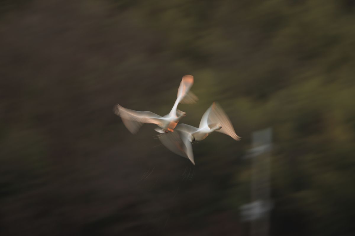 Climbing turn | GANREF