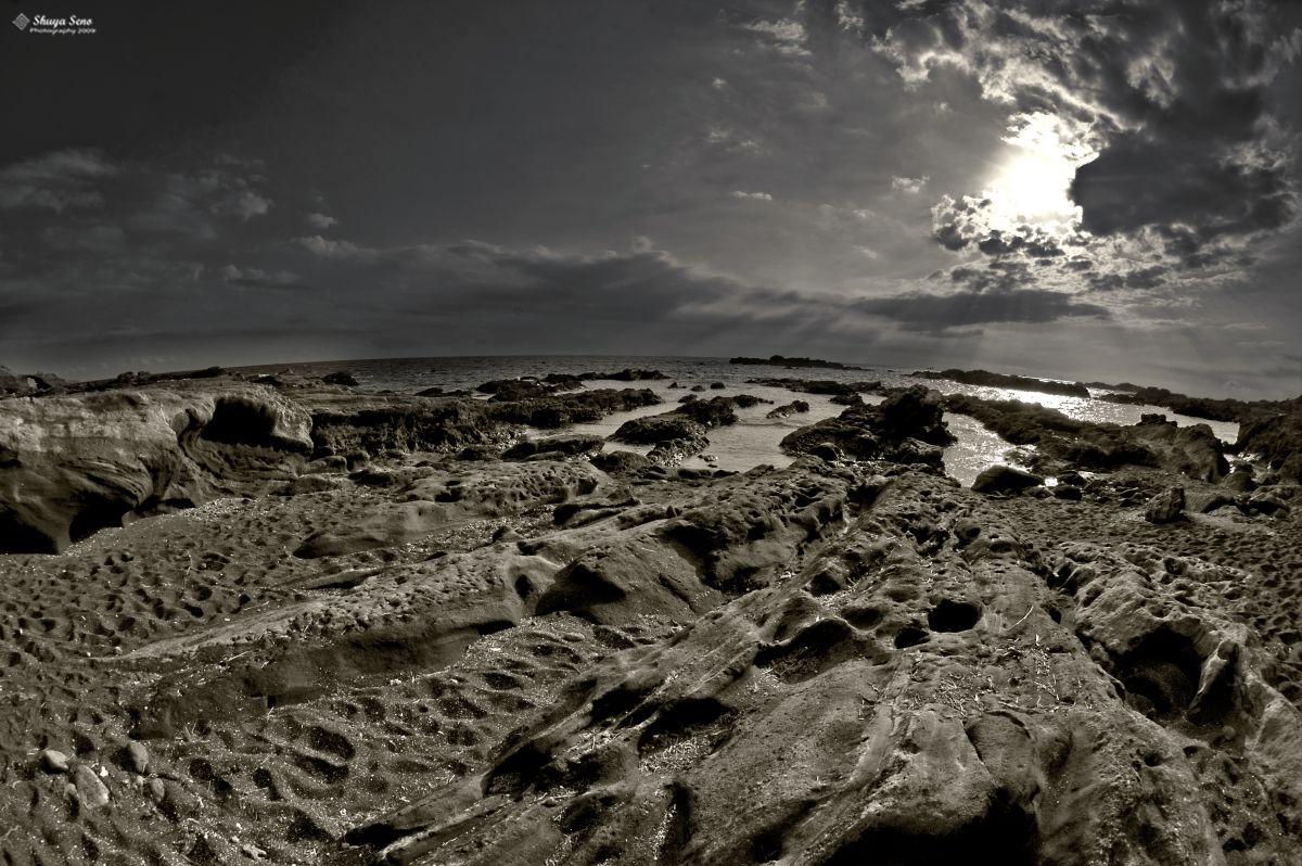Sun Drenched Beach | GANREF