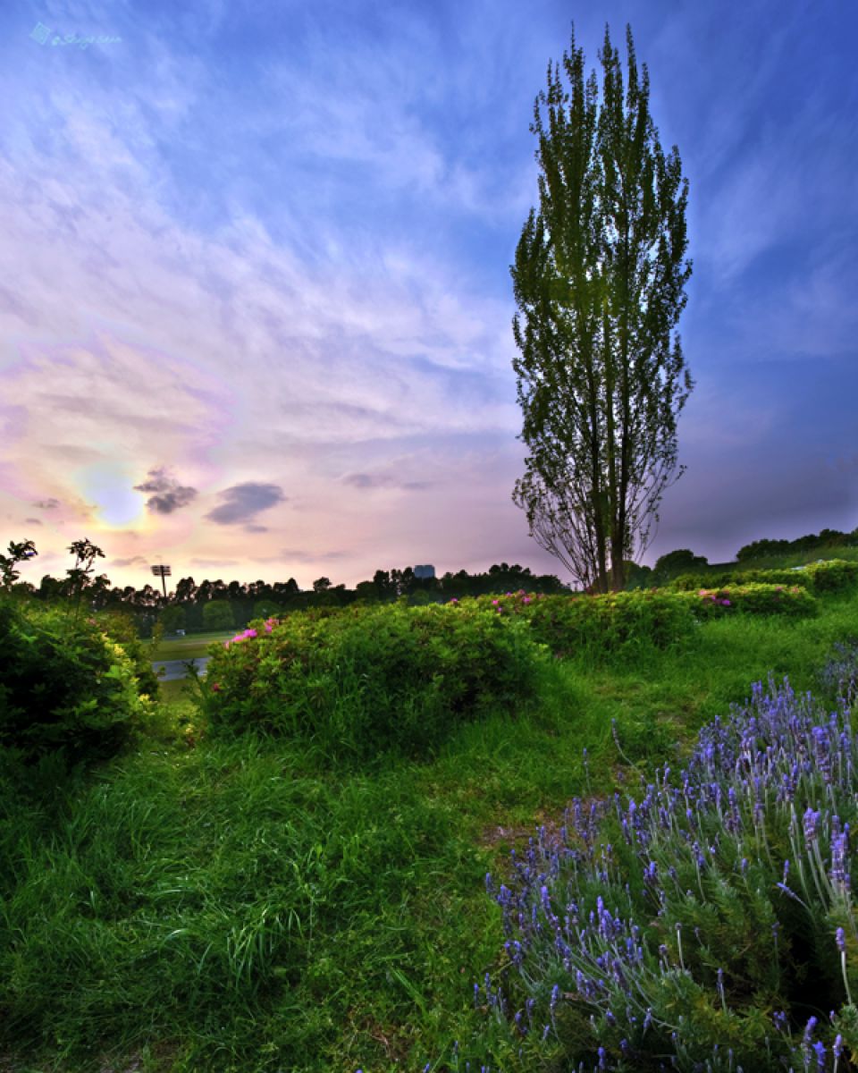夕日[HDR] | GANREF