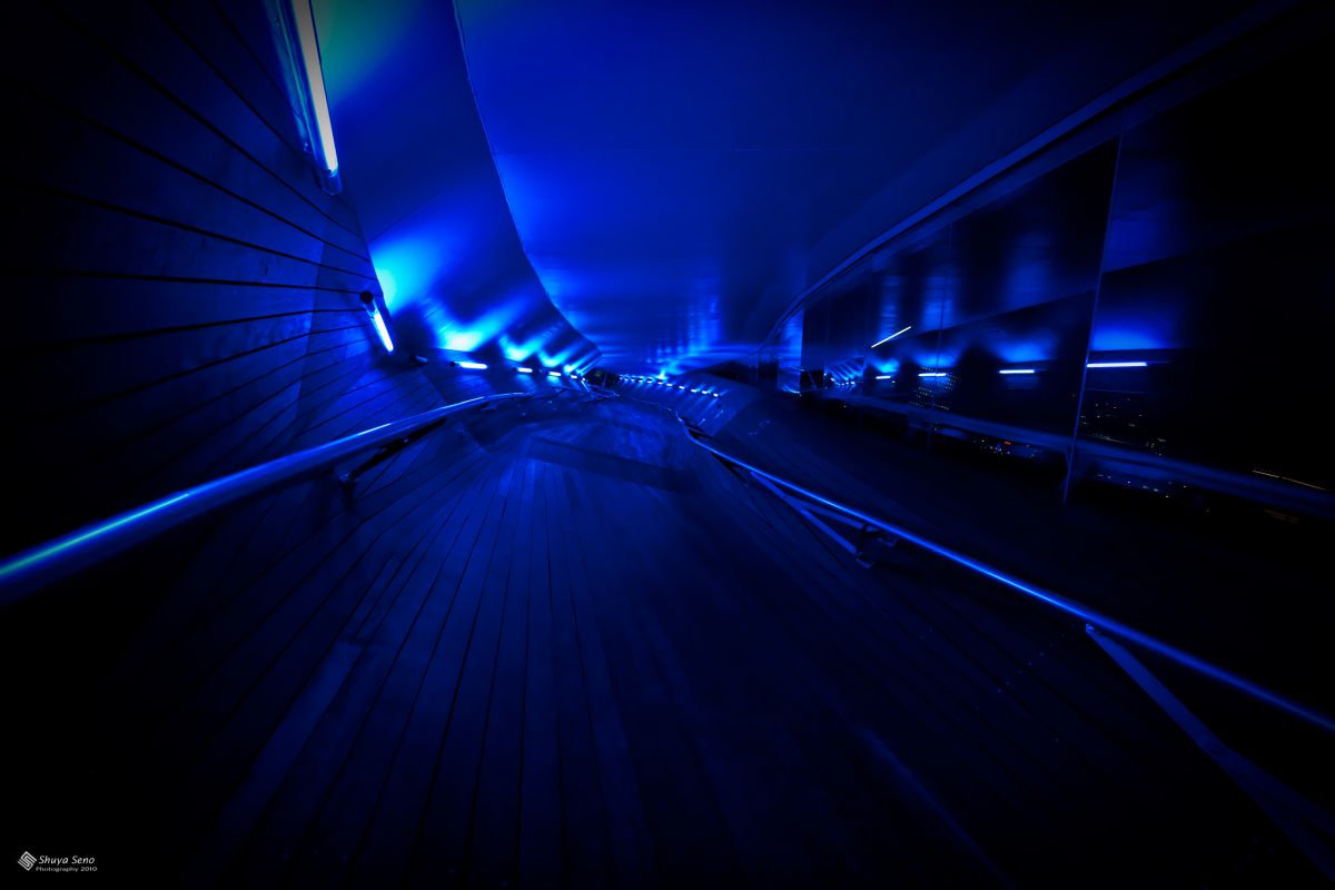 Blue Corridor | GANREF
