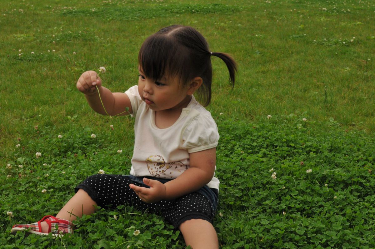 090812_d300_1852.jpg | GANREF