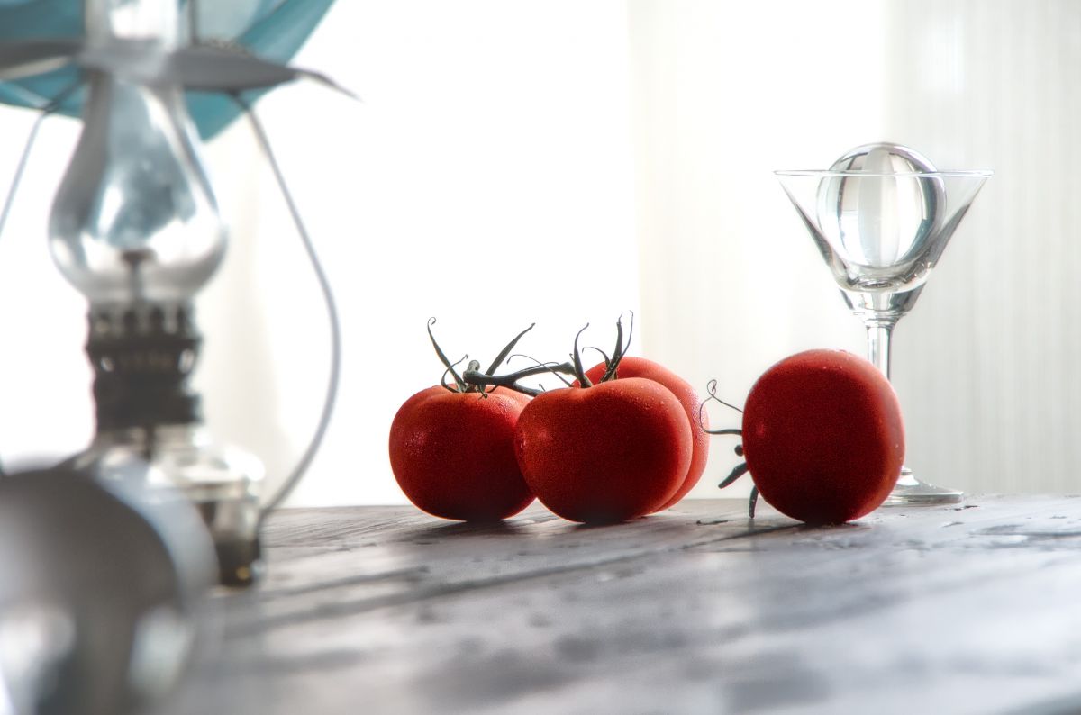 dining table | GANREF