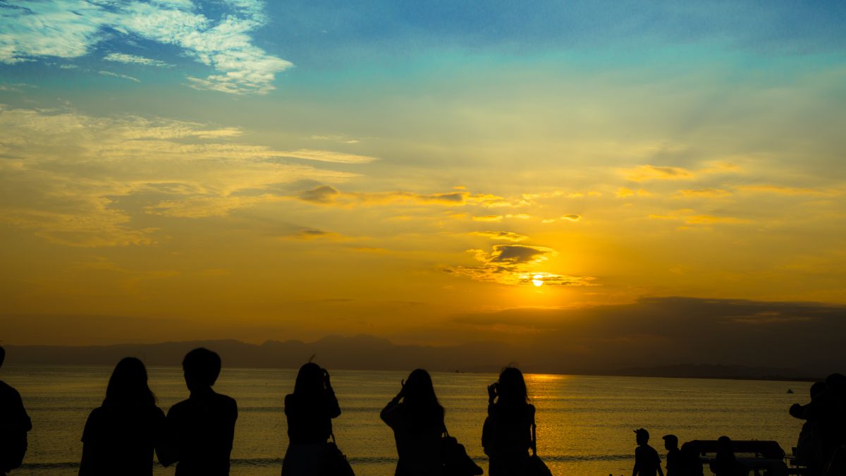 She see sea | GANREF